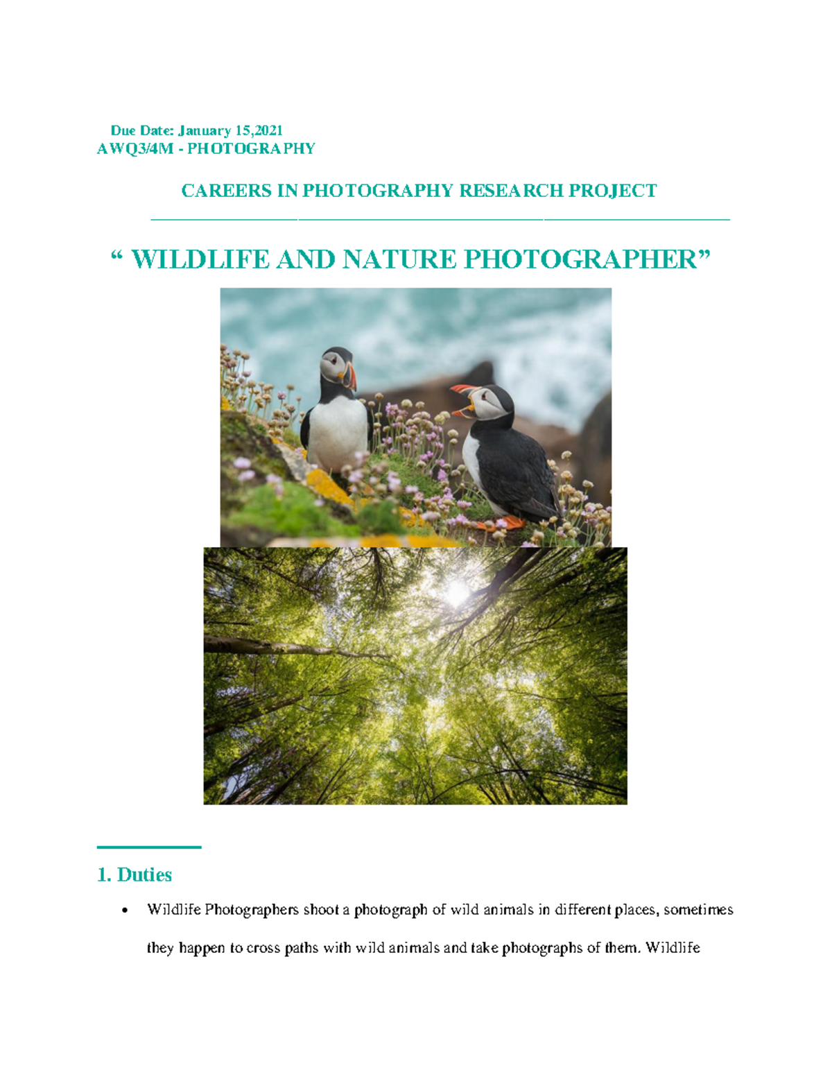 Careers IN Photography Research Project - Due Date: January 15, AWQ3/4M ...