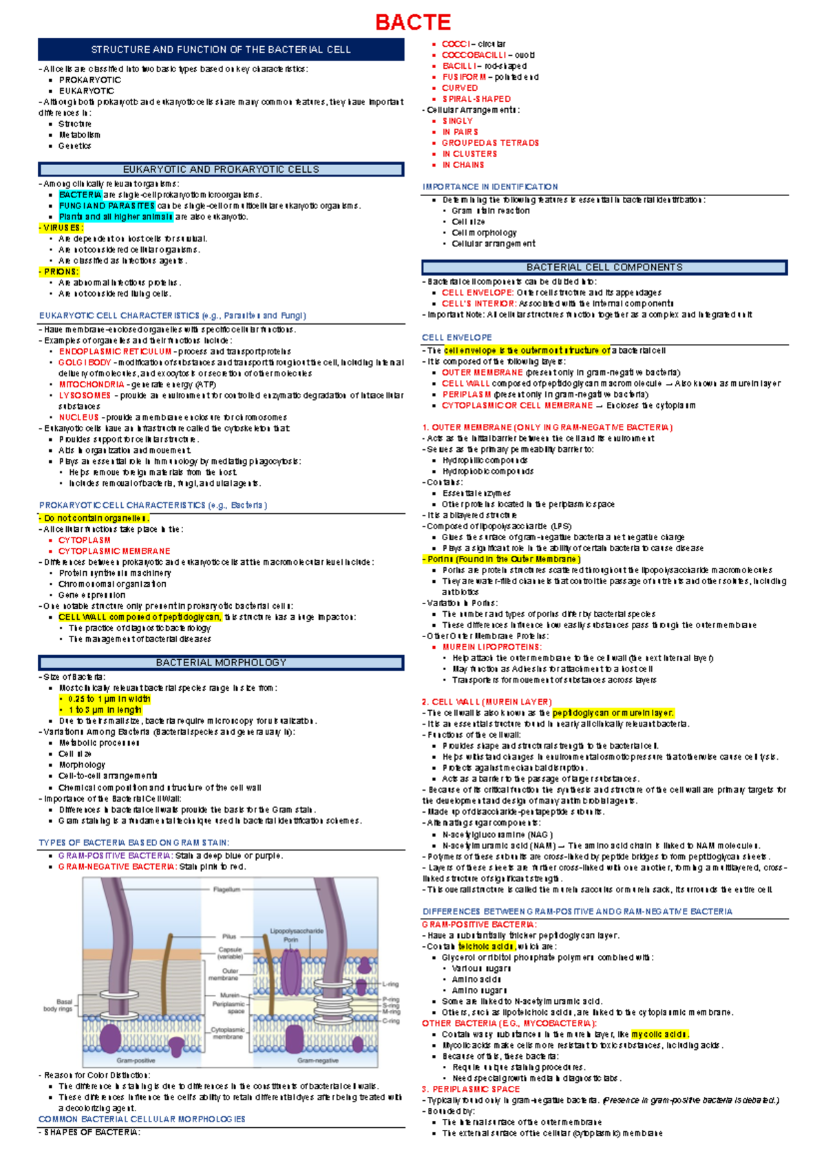 Bacteriology Intro: Structure & Function of Bacterial Cells - Studocu