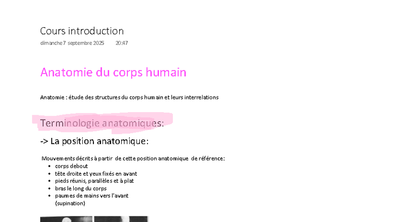 Cours d'Anatomie Humaine - Introduction et Terminologie Anatomique ...