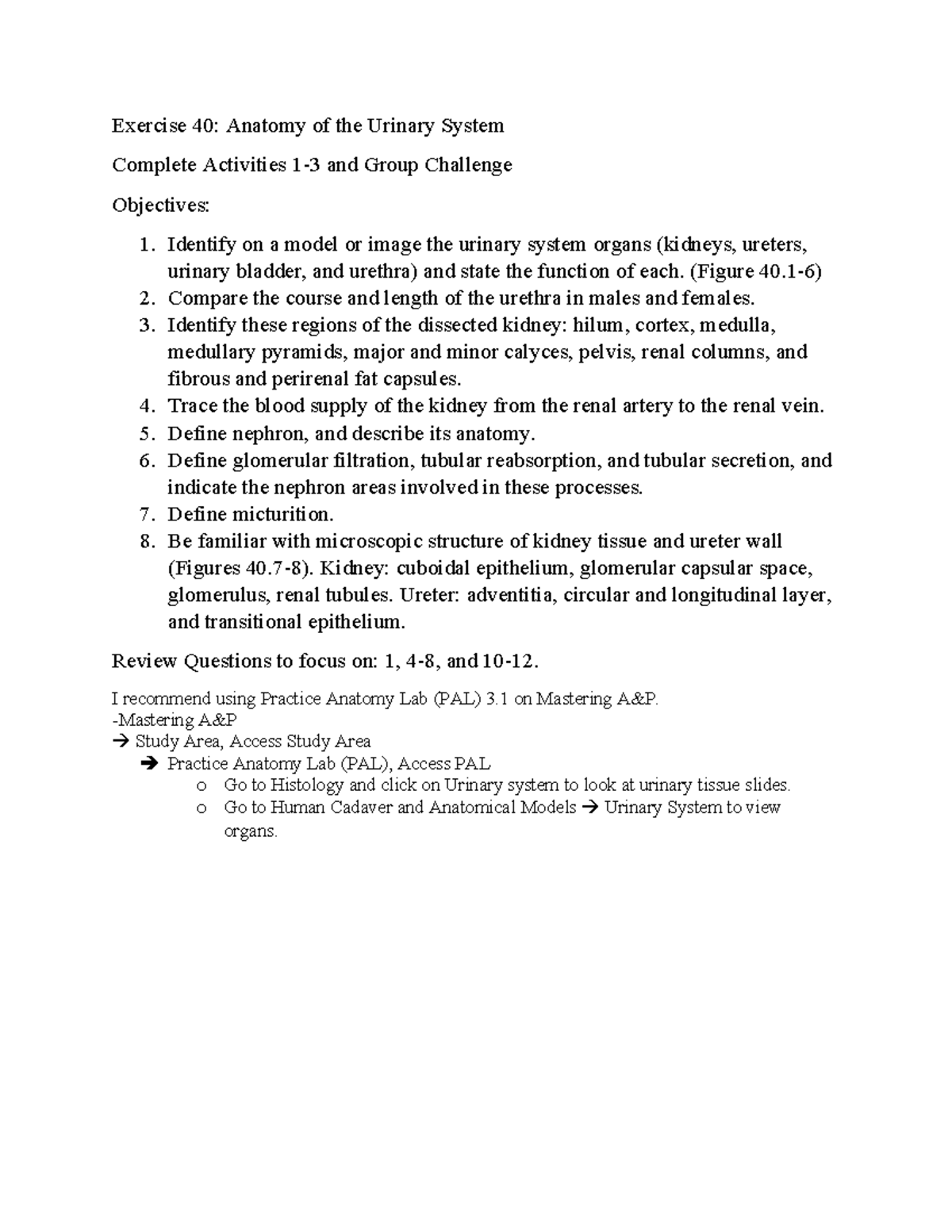Exercise 40: Urinary System Anatomy Lab Objectives and Activities - Studocu
