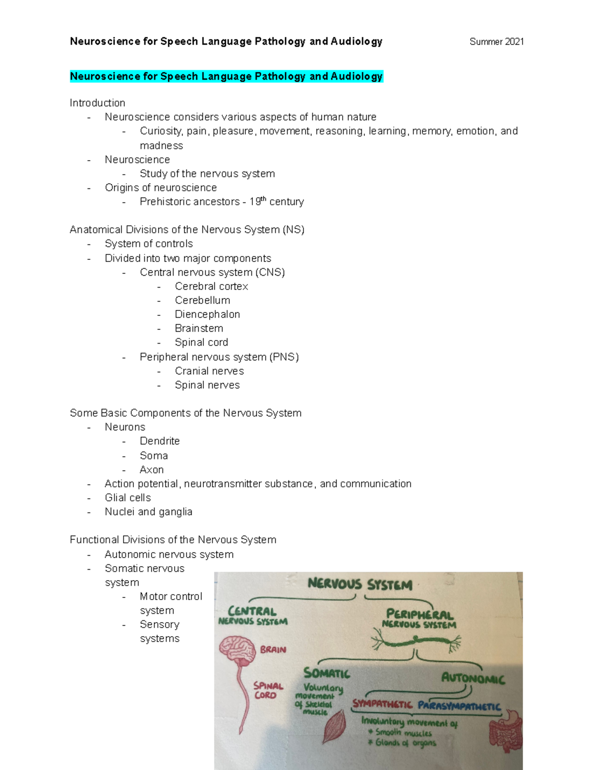 Neuroscience for SLP: Essential Study Notes and Key Concepts - Studocu