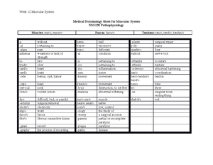 Gross anatomy of the muscular system review sheet: exercise 13 - Review ...