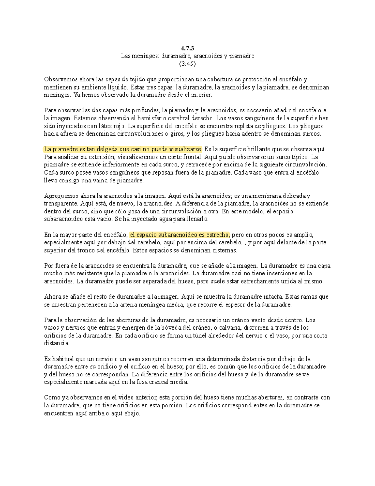 Capas de las Meninges: Duramadre, Aracnoides y Piamadre en el Encéfalo ...