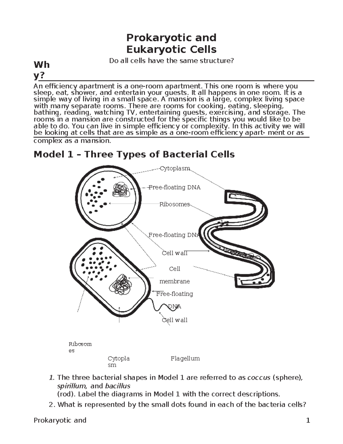 7 Prokaryote and Eukaryote Cells - Structure and Function Analysis ...
