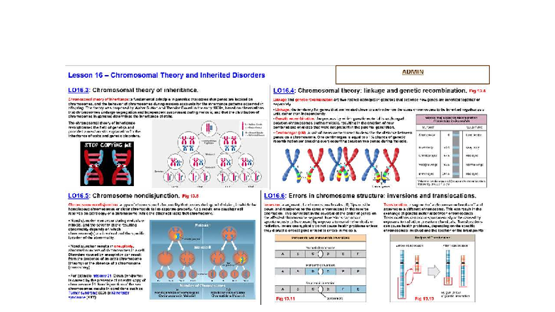 Final Exam Study Guide for Course Code ABC123: Key Concepts and Review ...