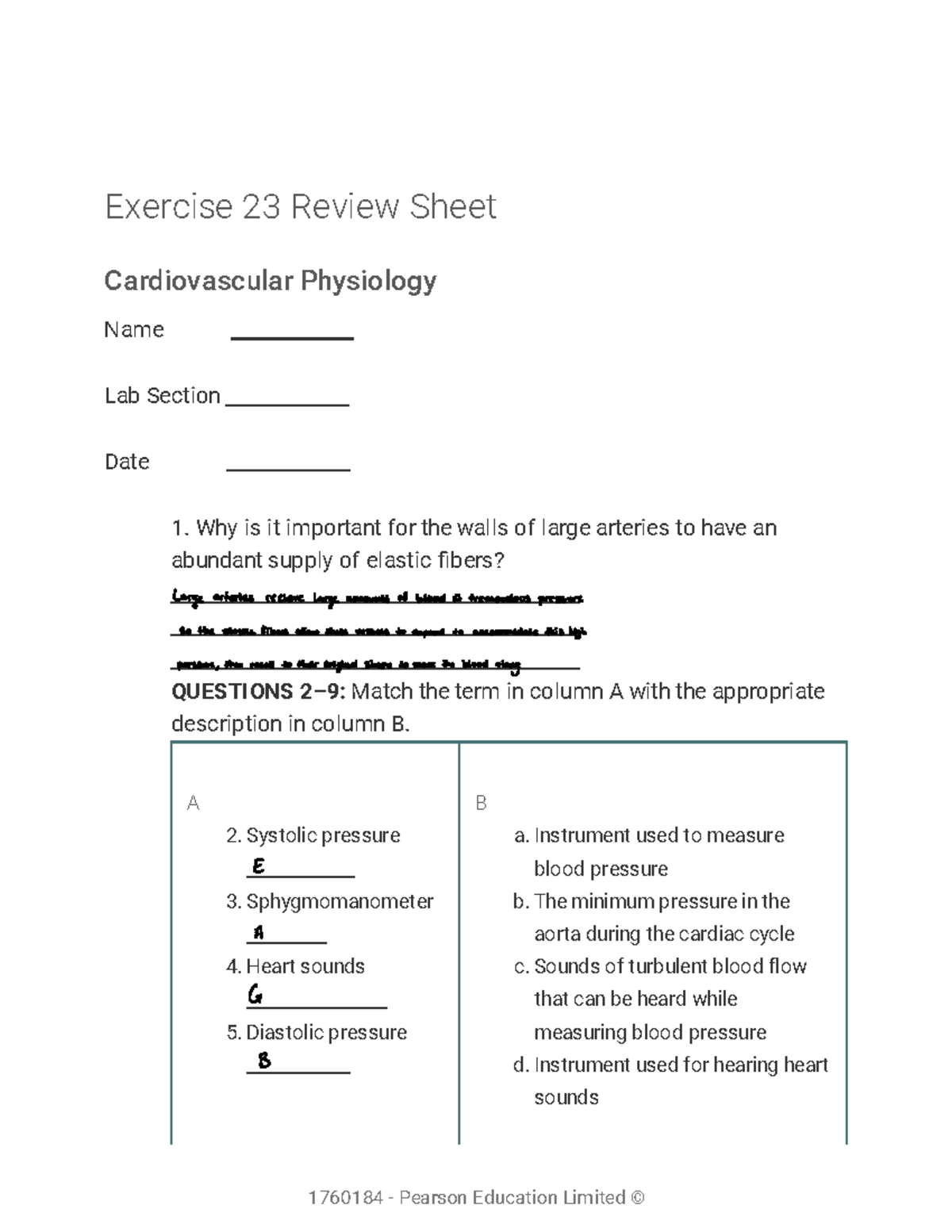 Chapter 23 - Lab Assignment on Cardiovascular Physiology - Studocu