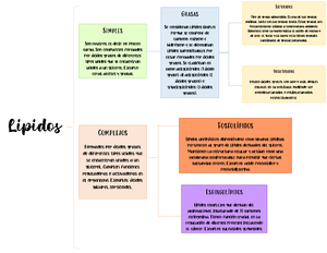 Reporte Previo Practica 5 - PRACTICA 5. RECONOCIMINETO DE CARBOHIDRATOS ...
