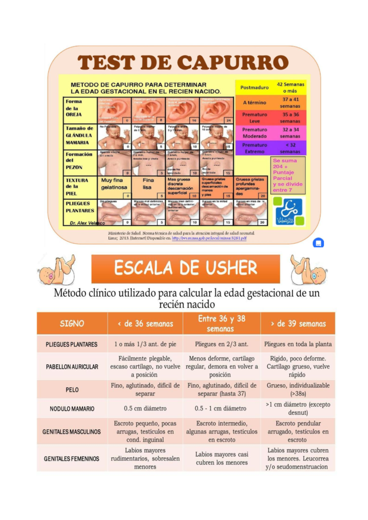 Método de Capurro para Determinar la Edad Gestacional en Recién Nacidos ...