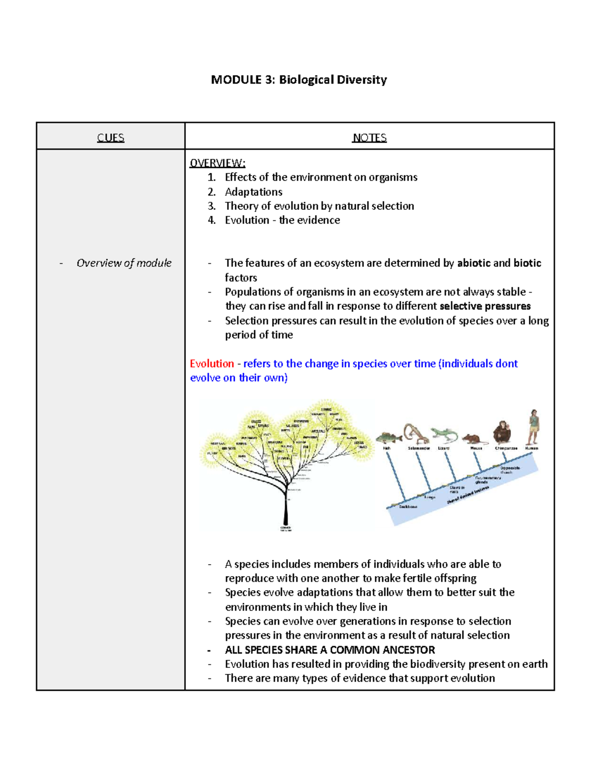 Biology Syllabus Notes: Module 3 - Biological Diversity Overview - Studocu