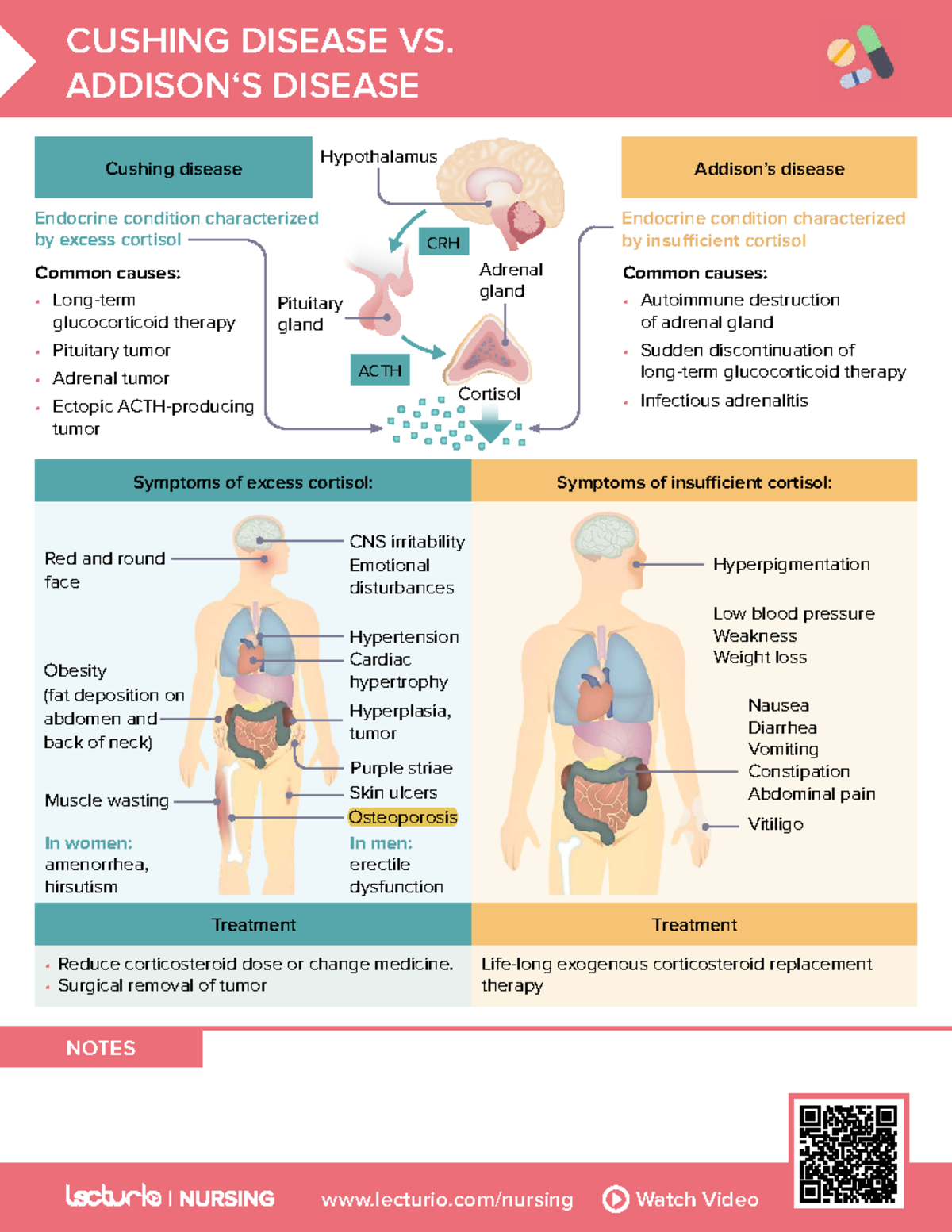 Nursing CS: Cushing Disease vs. Addisonian Disease Notes - Studocu