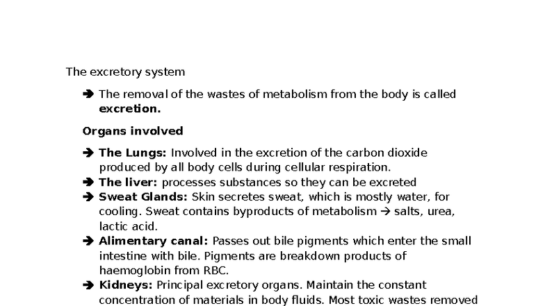 Excretory System Overview: Key Functions and Organs - Studocu