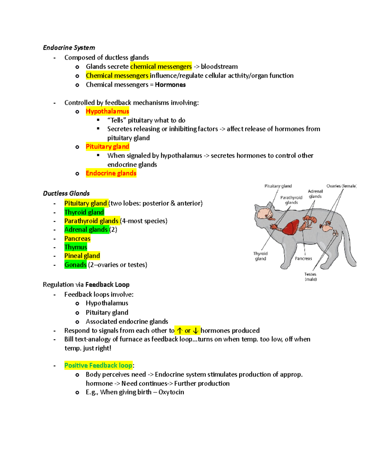 L10-11 - drug used for Endocrine System; Blood glucose regulator ...