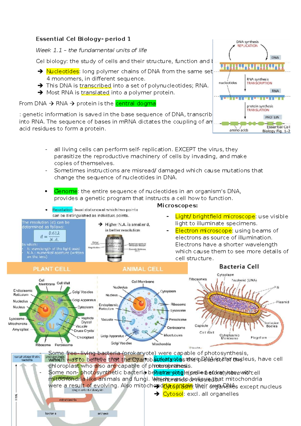 Essential Concepts in Cell Biology: Week 1.1 - ECB - Studeersnel
