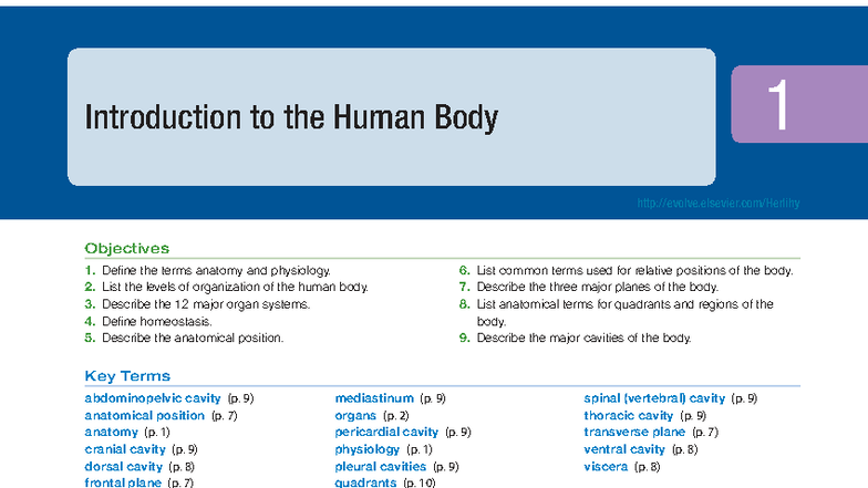 Introduction to the Human Body: Anatomy & Physiology Overview (BIO101 ...