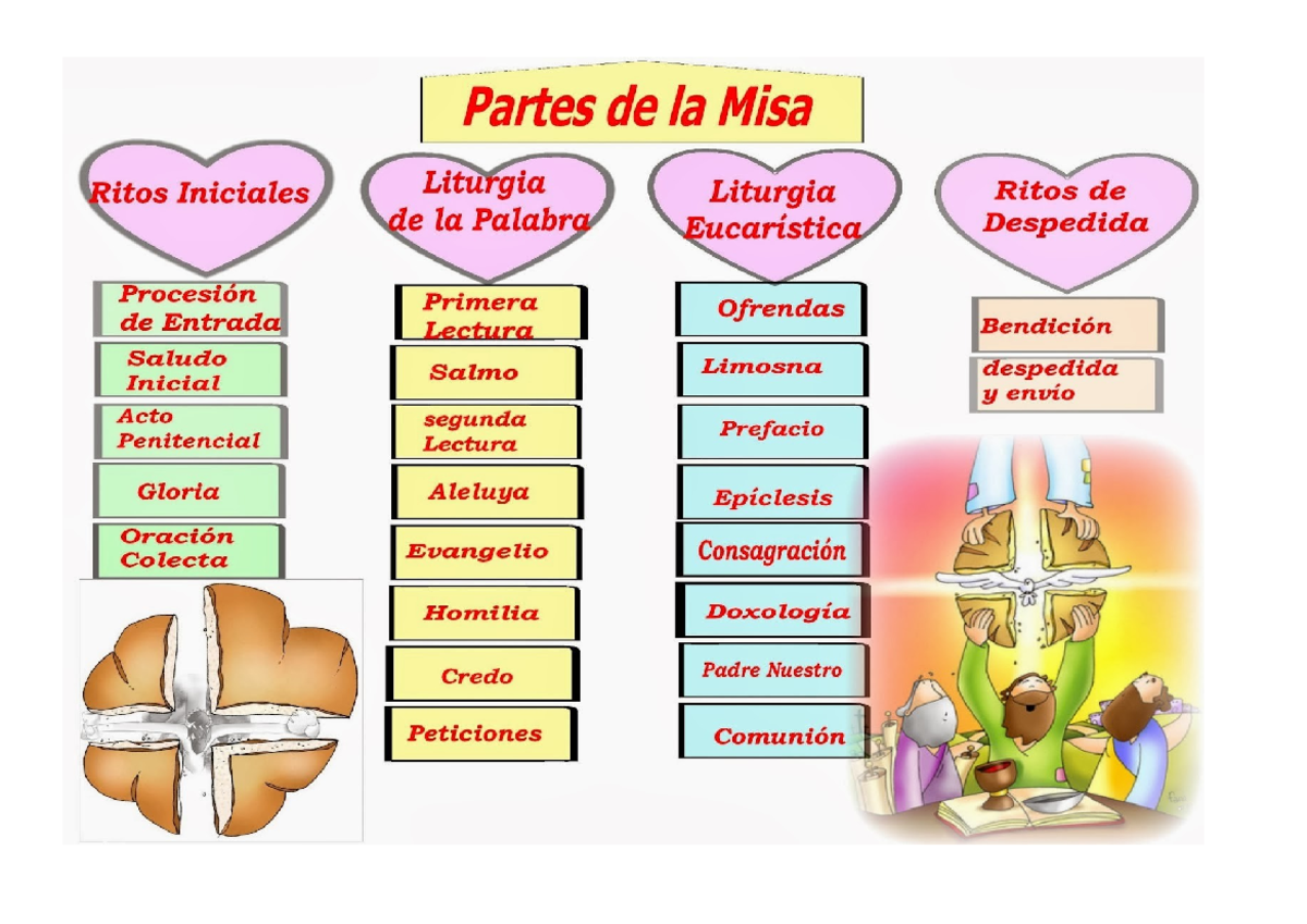 Partes de la Misa: Ritos y Estructura de la Liturgia - Studocu