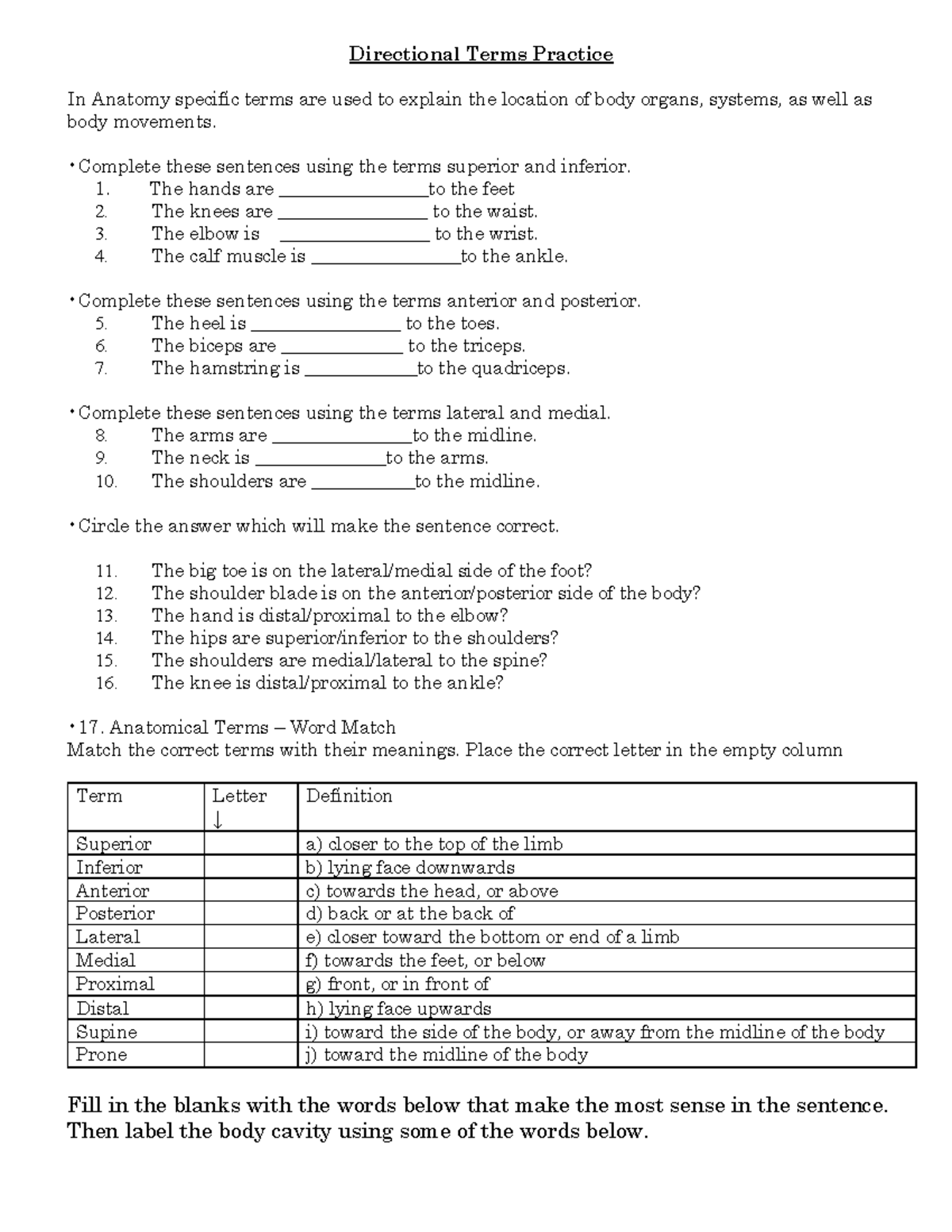 Anatomical Terms & Body Regions: Cavities & Directions Review - Studocu