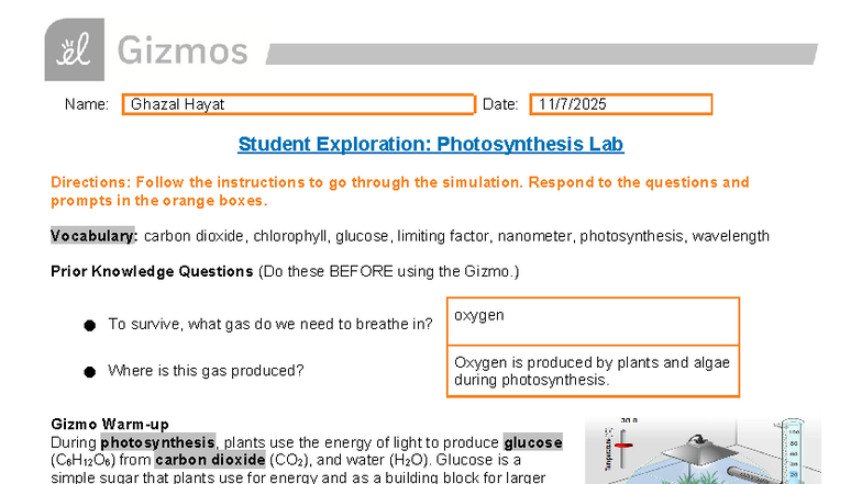 Student Exploration: Photosynthesis Lab Activity (Gizmo) - Studocu