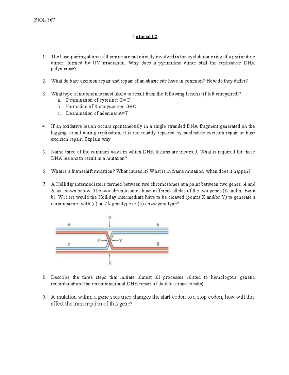 BIOL 367 Tutorial 02: DNA Damage and Repair Mechanisms - Studocu