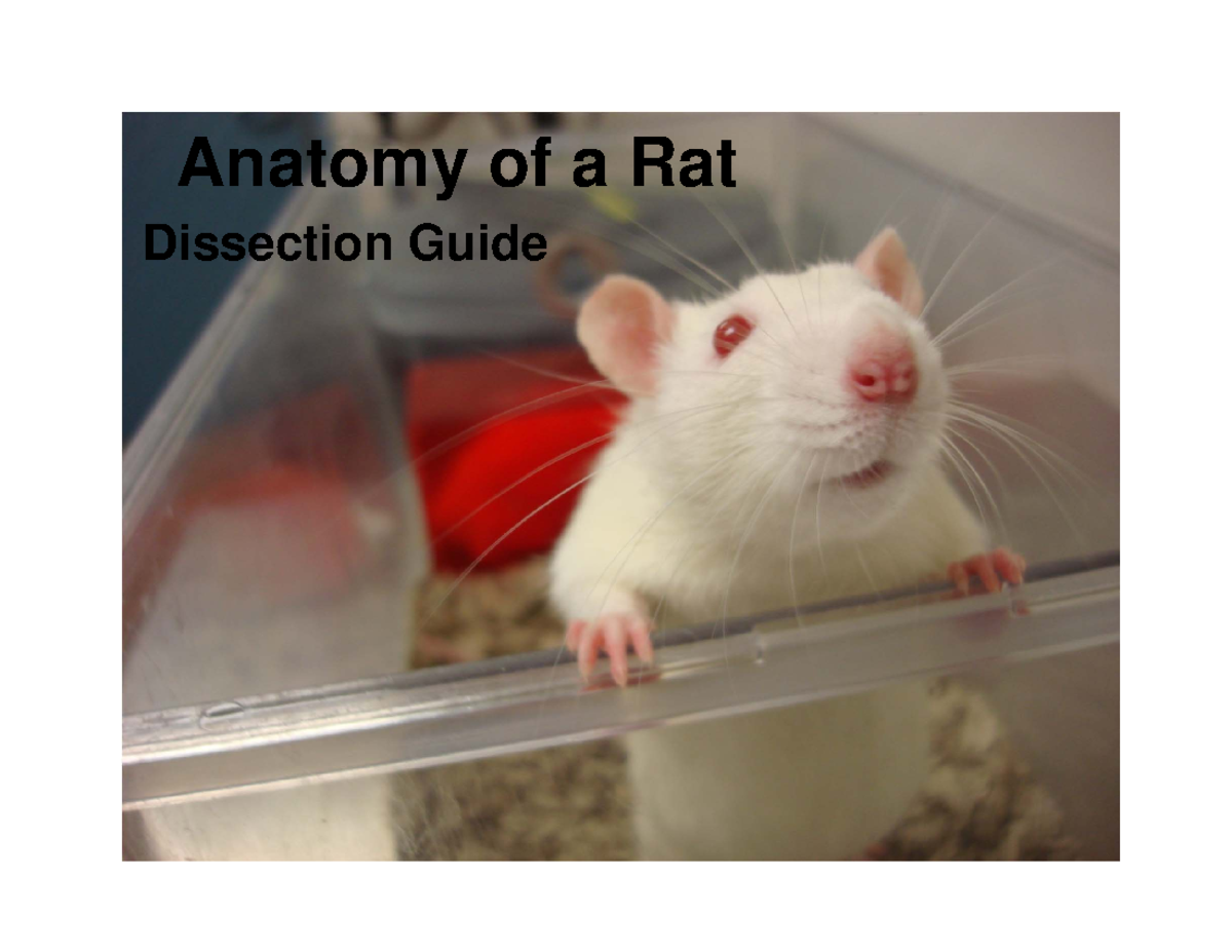 Rat Dissection Guide - X`XAS - Studocu