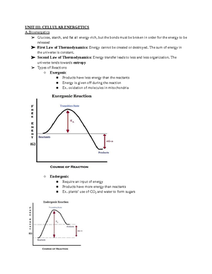 Unit 6 Complete Student Notes - Unit 6 Gene Expression and Regulation ...