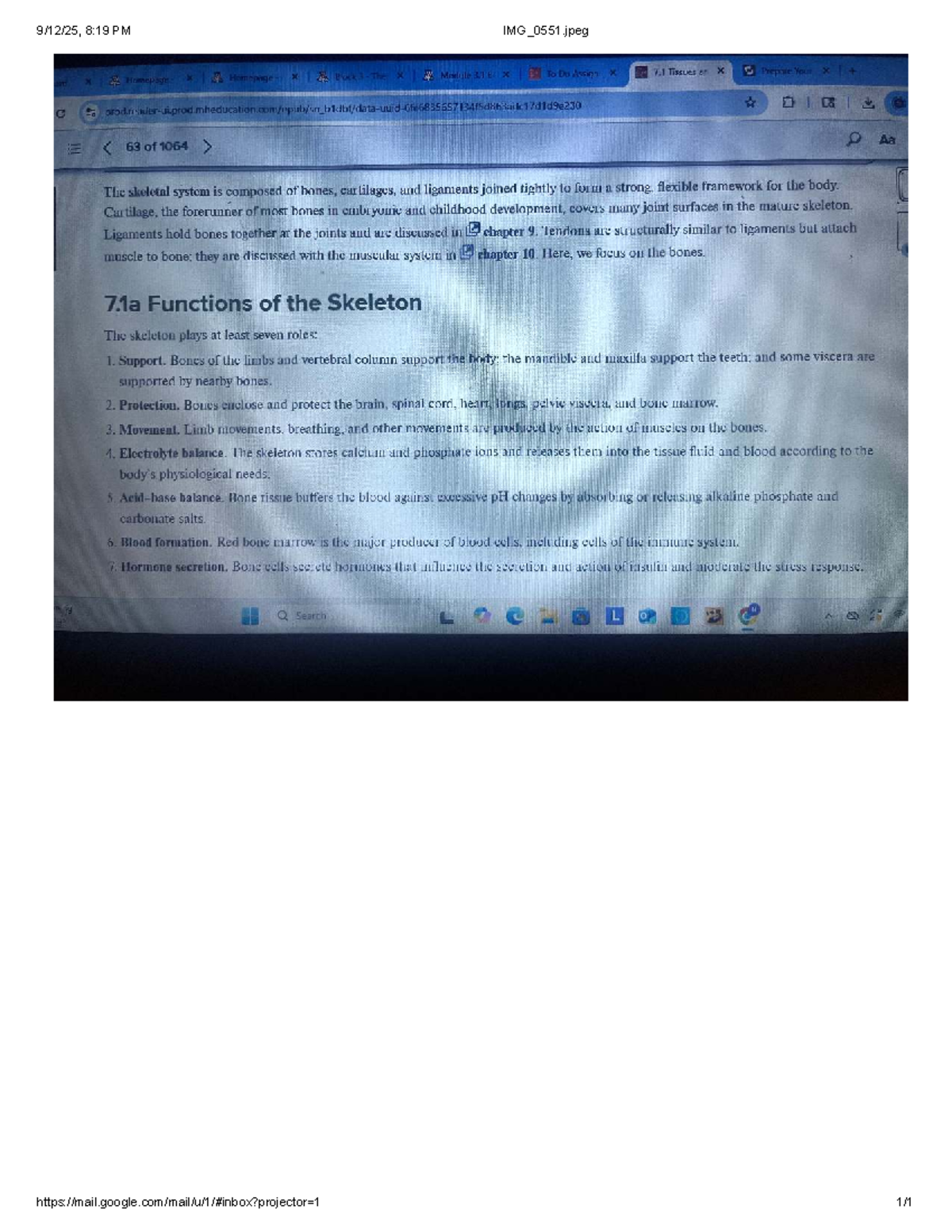 Final Exam Study Guide: Key Concepts for Module 3.1 (x) - Studocu