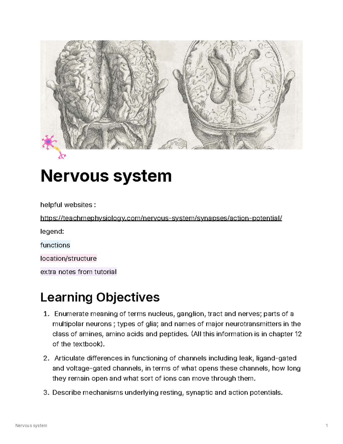 Nervous System Notes: Key Concepts and Functions (Course Code: NS101 ...