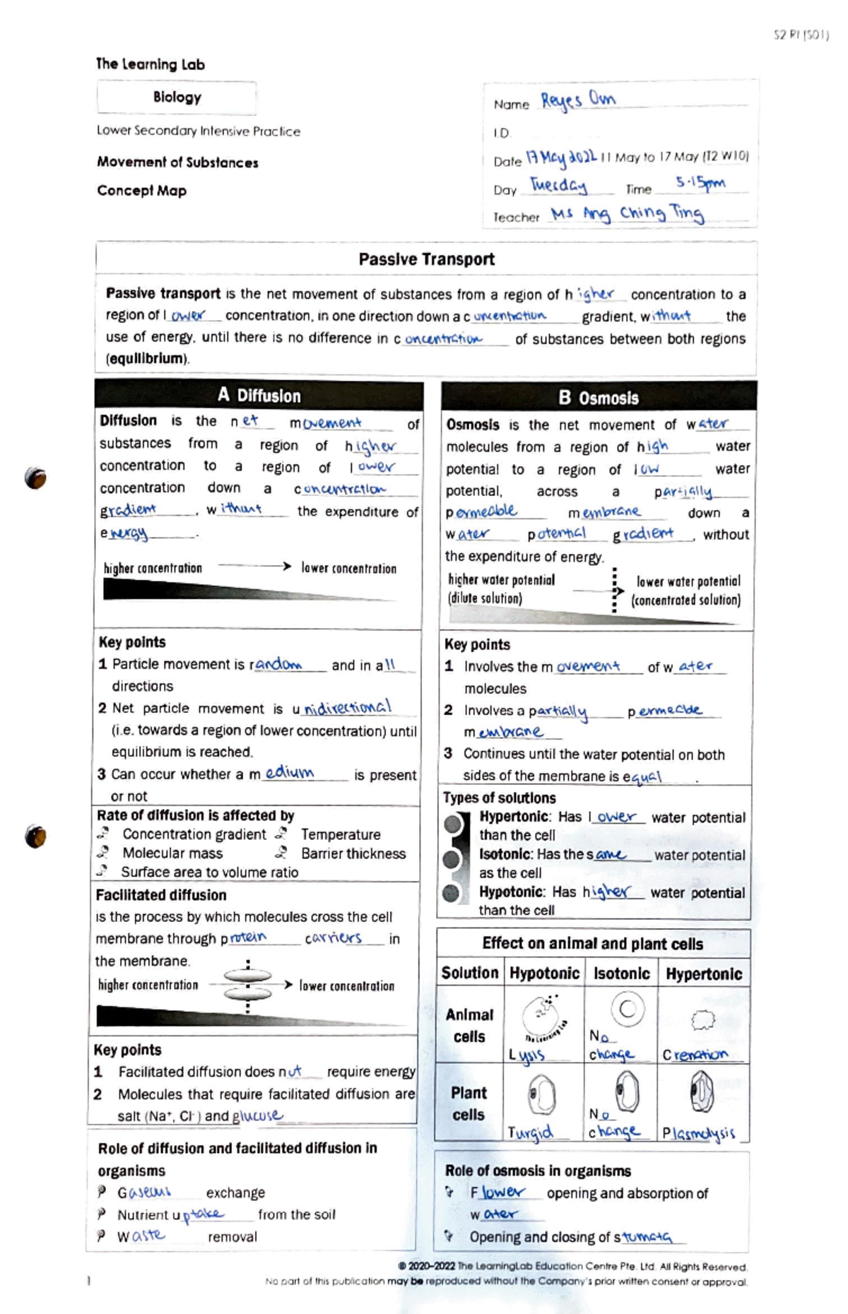 S2 Biology Lower Secondary Intensive: Movement of Substances Concept ...