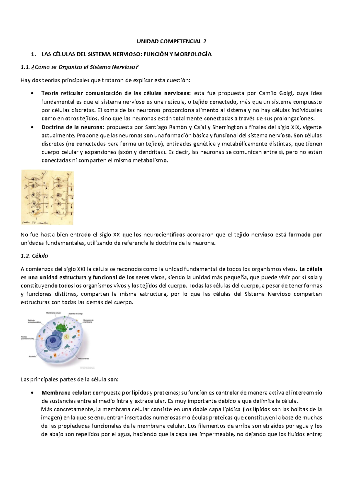 Apuntes de Psicobiología: Contenido de UC2 y UC3 Detallado - Studocu