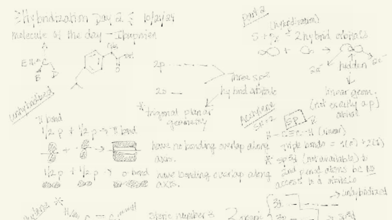 CHEM 1601 - Hybridization Concepts and Molecular Geometry Notes - Studocu