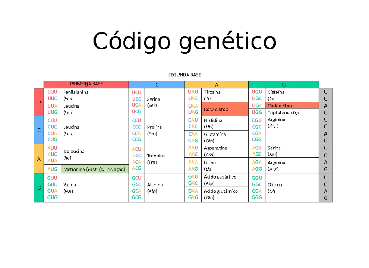 Ciclo de Calvin: Resumo das Etapas e Reações essenciais - Studocu