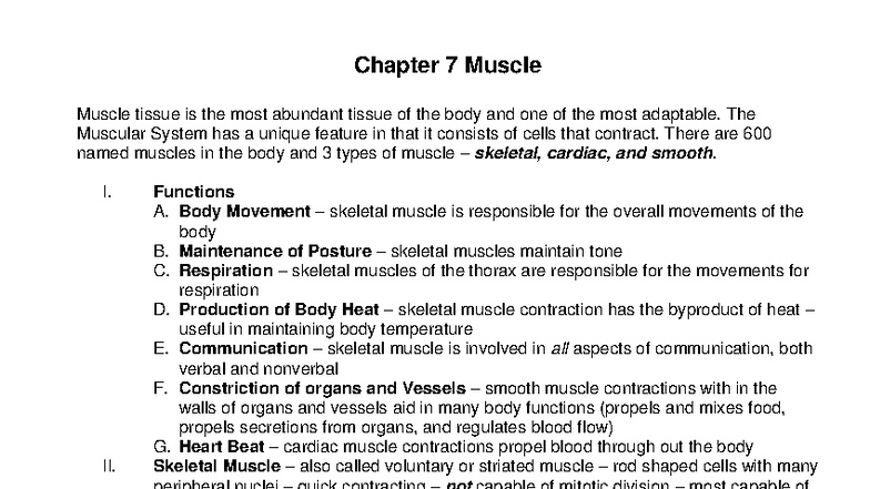 Chapter 7: The Muscular System - Structure and Function Overview - Studocu