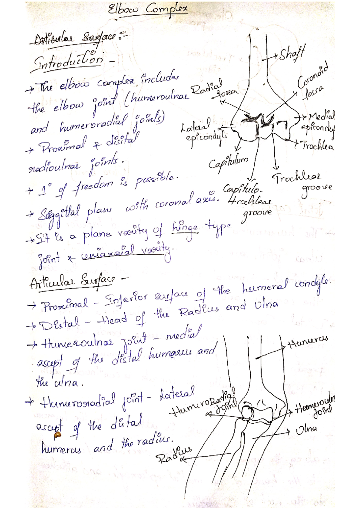 Elbow Complex Biomechanics Notes - Anatomy and Function Overview - Studocu