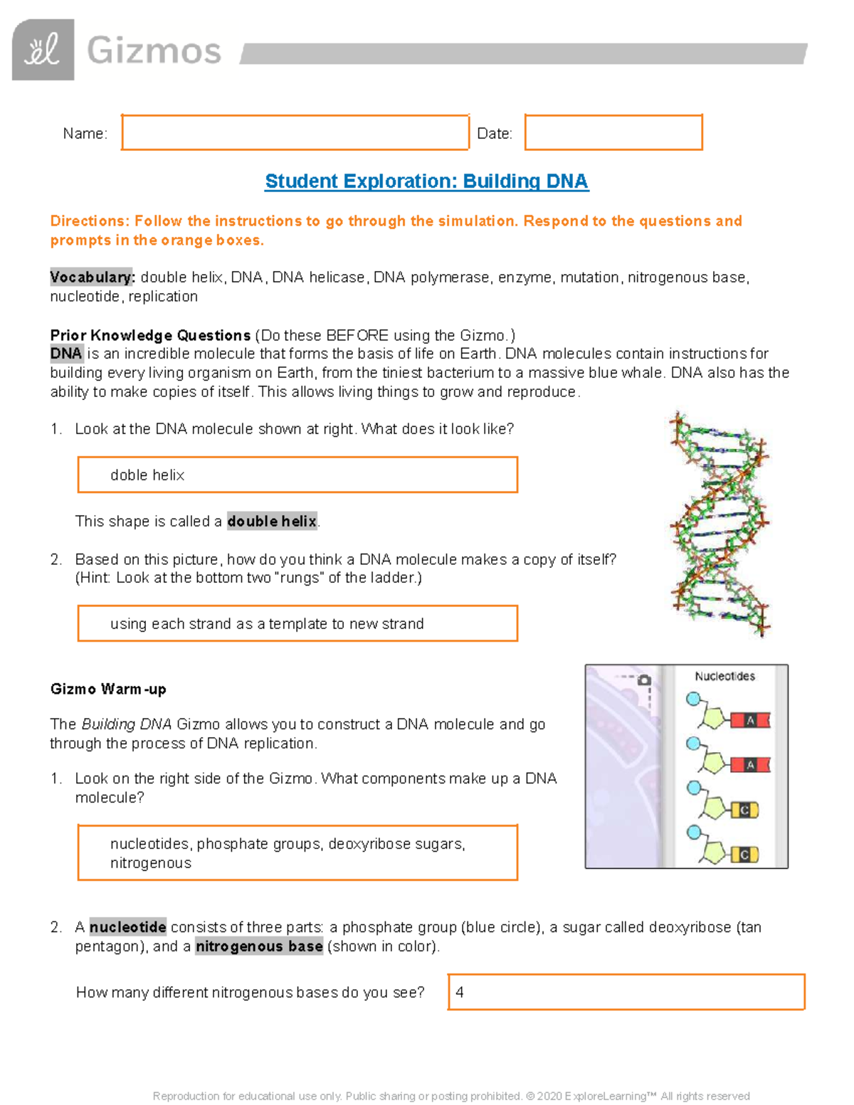 Building DNA Simulation Guide: Student Exploration - Studocu