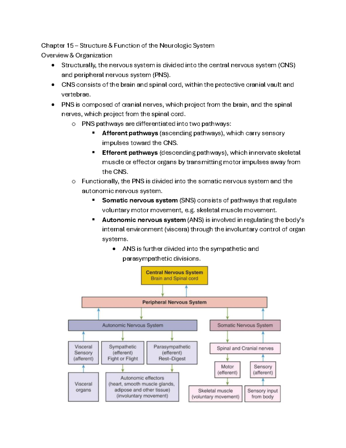 Study Guide 3: Chapter 15 - Structure and Function of the Neurologic ...