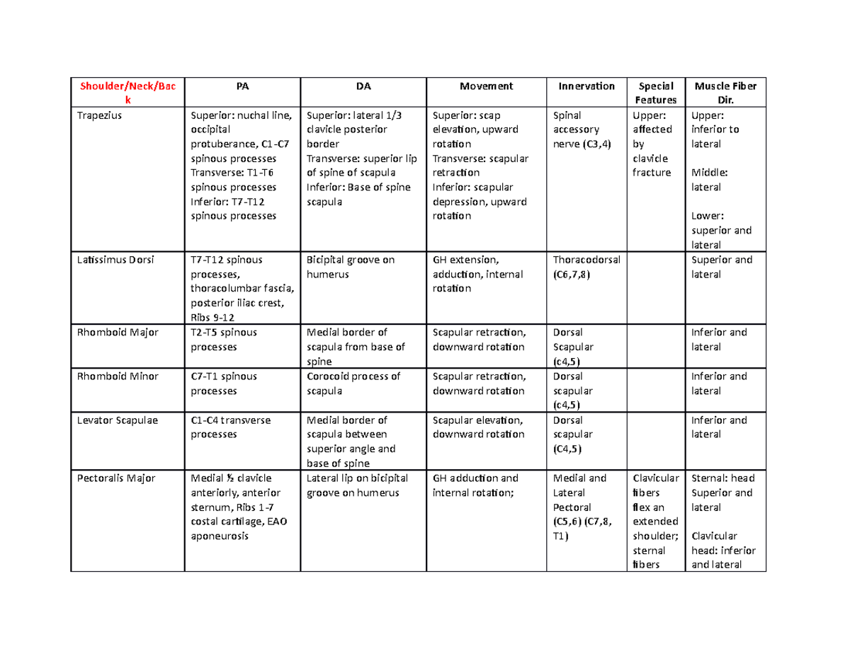 Upper Extremity Muscle Anatomy Cheat Sheet for PA/DA - Studocu