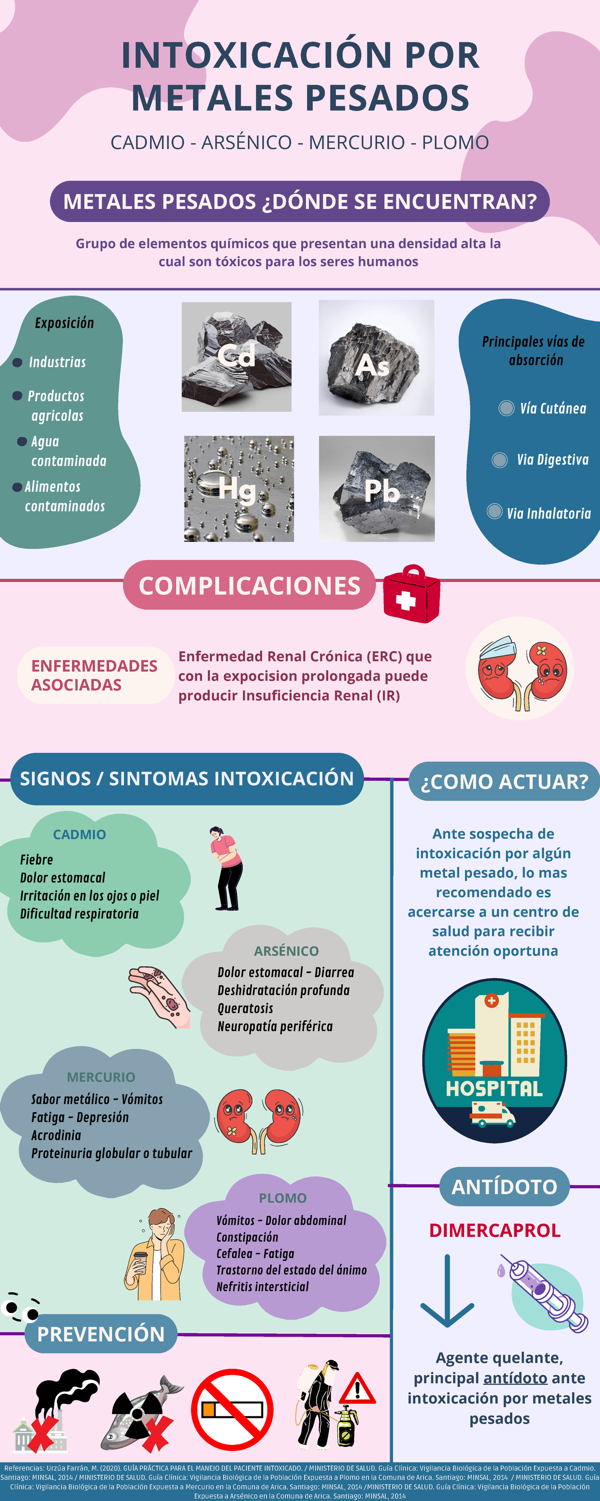 Infografía sobre Intoxicación por Metales Pesados y sus Efectos - Studocu