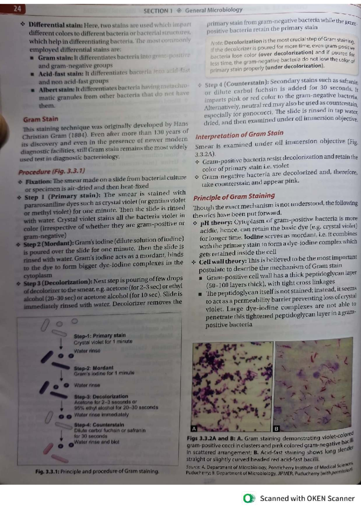 Microbiology Differential Staining Techniques for 3rd Internals - Studocu
