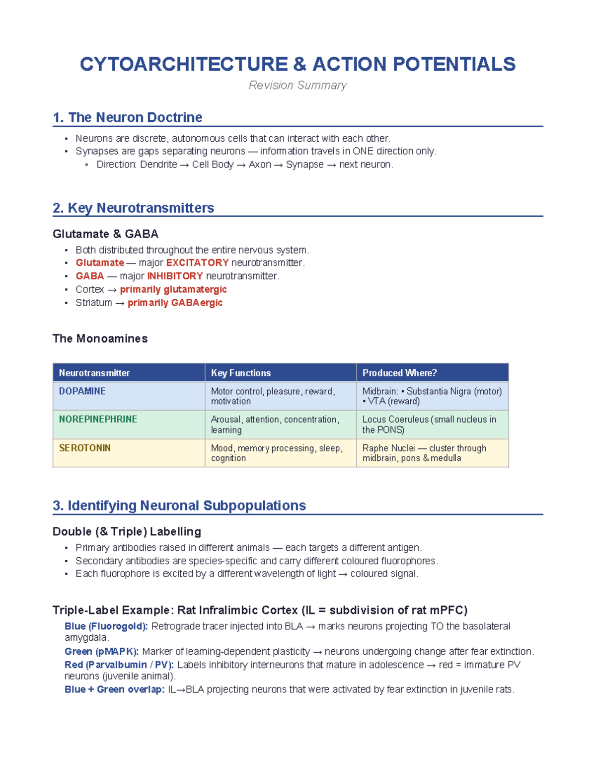 CYTOARCHITECTURE & ACTION POTENTIALS: Revision Summary - Studocu