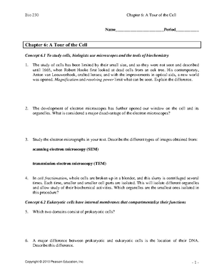 Bio The Transgenic fly virtual lab 220929 010731 - BioInteractive ...