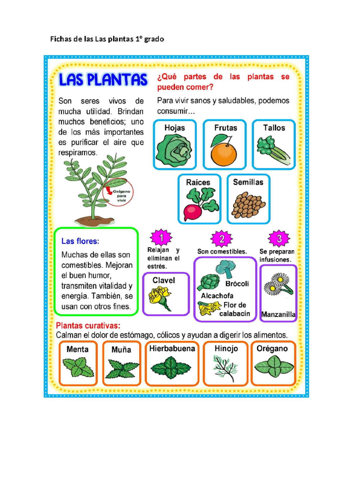 Ficha de las Plantas 1° - Grado: Partes Comestibles y Curativas - Studocu