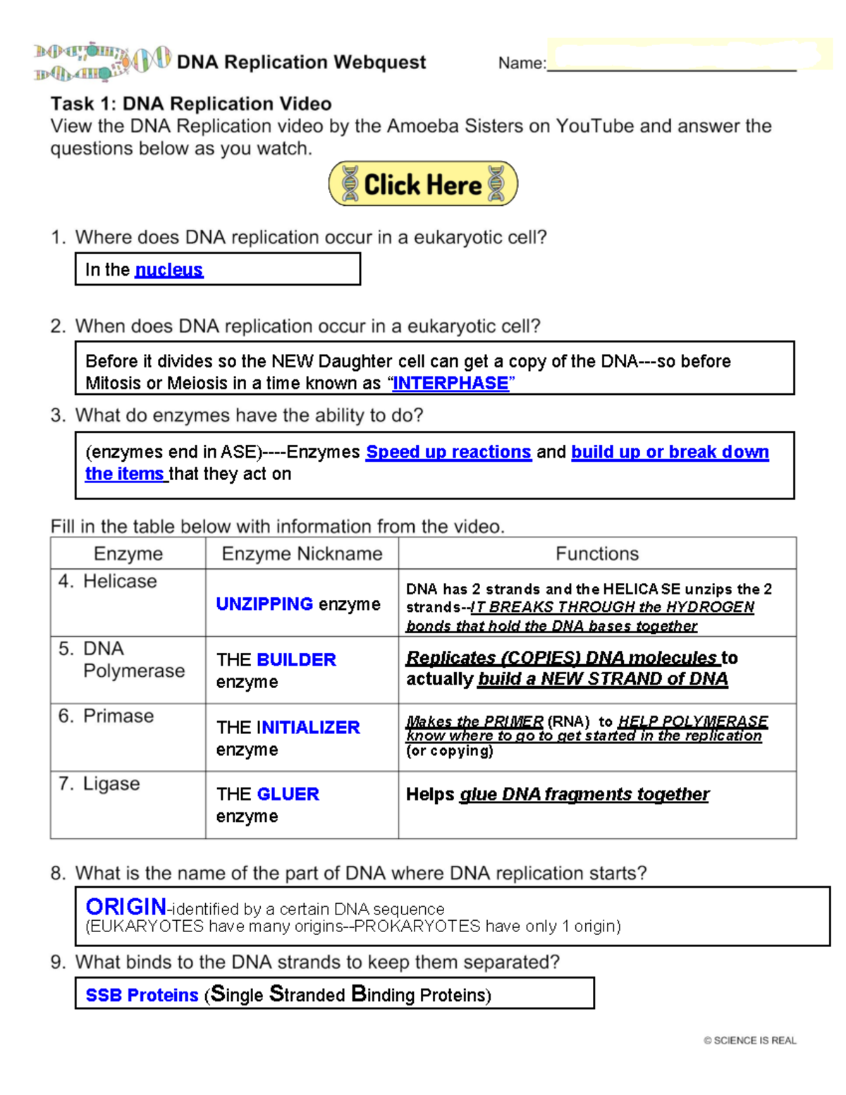 Copy of DNA Replication Webquest - Adam Hedelius 5th HOUR In the ...