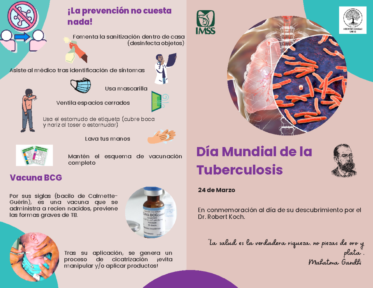 Tuberculosis día mundial tríptico cuidados recomendaciones folleto ...
