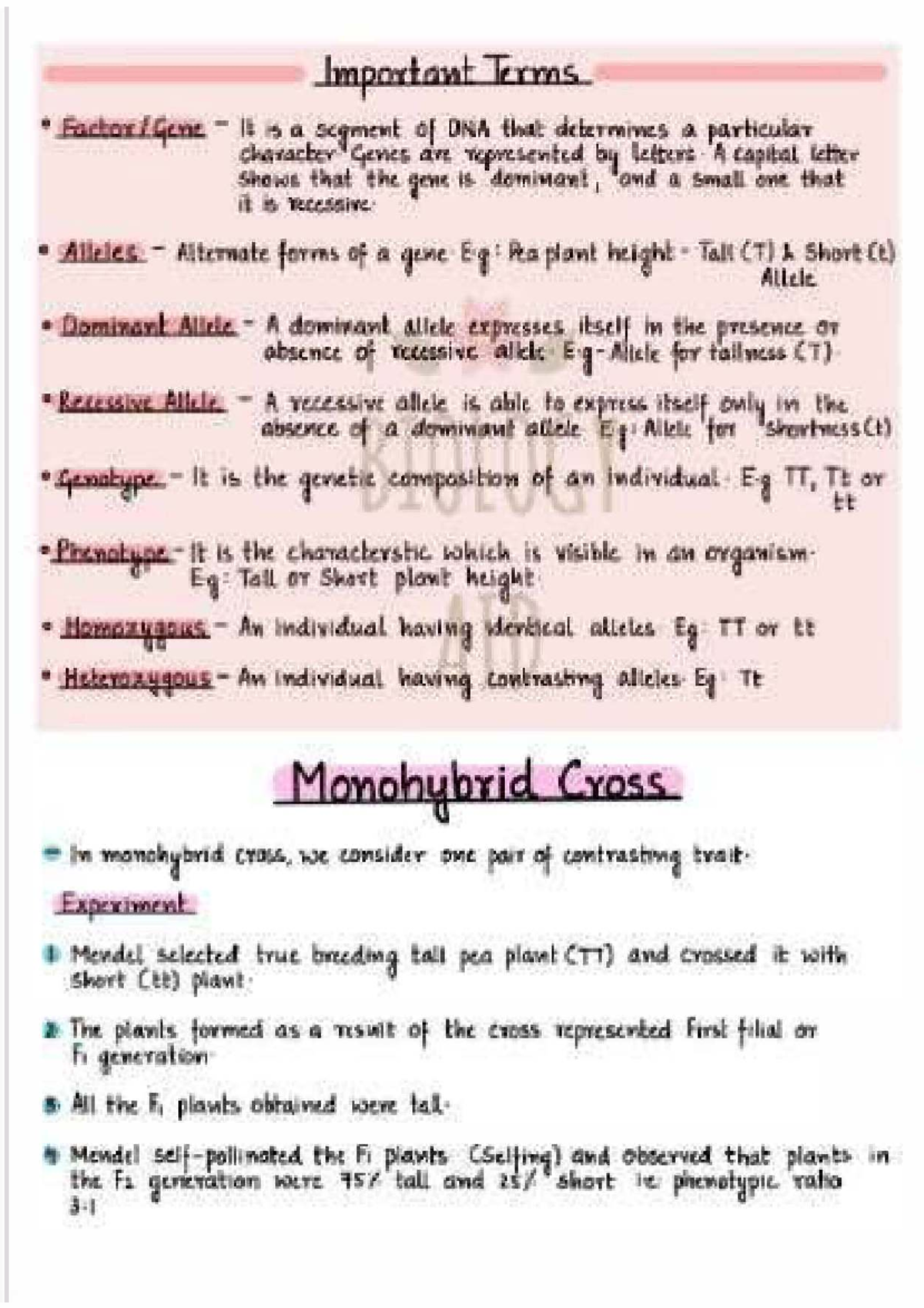 Genetics Overview: Key Terms and Concepts for BIO101 - Studocu