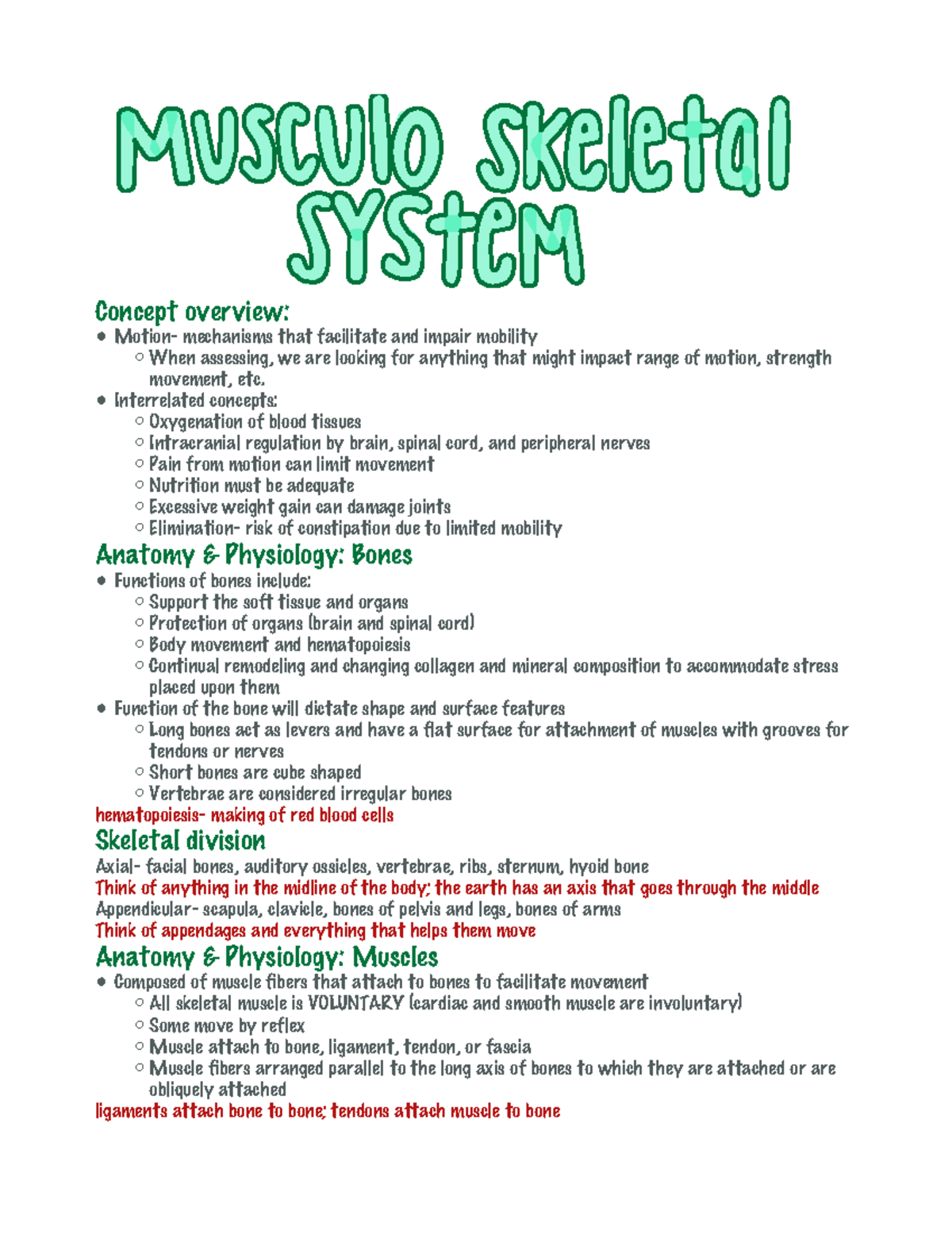 Musculoskeletal System Overview and Assessment (Course 08800) - Studocu