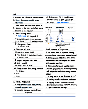 Anatomy and physiology Lecture Exam 1 Study guide Ch1-3 - Chapter 1 ...