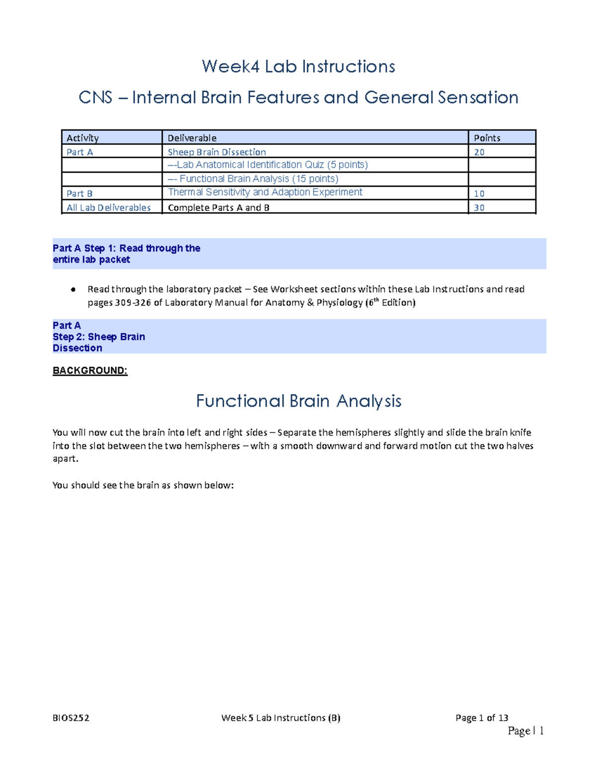 BIOS252 W4 Lab Instructions: Sheep Brain Dissection & Sensory Experiment - Studocu