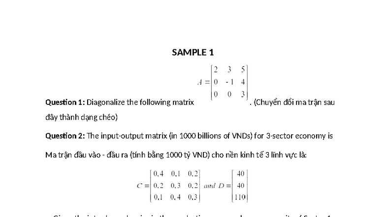 Final Exam Sample: Matrix Diagonalization & Economic Analysis - Studocu