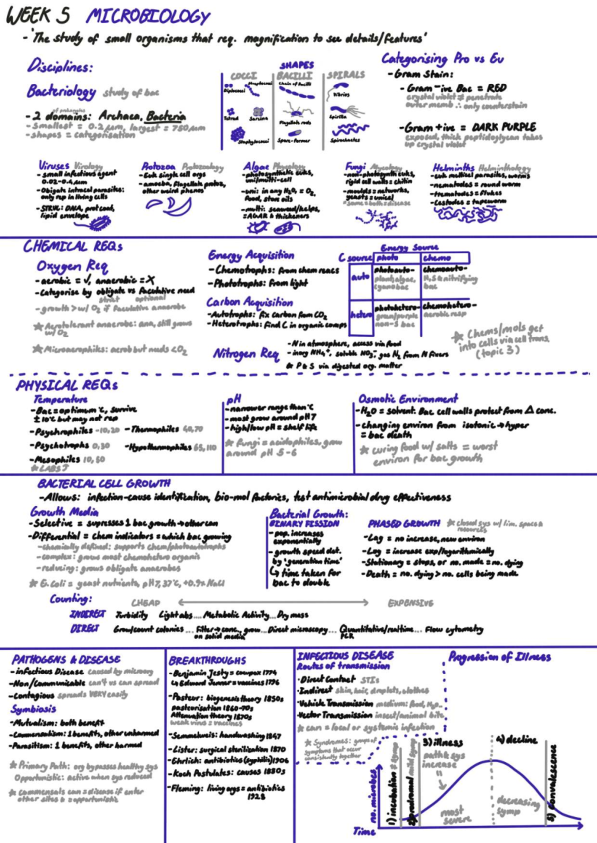 Microbiology Study Notes: Week 5 Overview of Microorganisms - Studocu