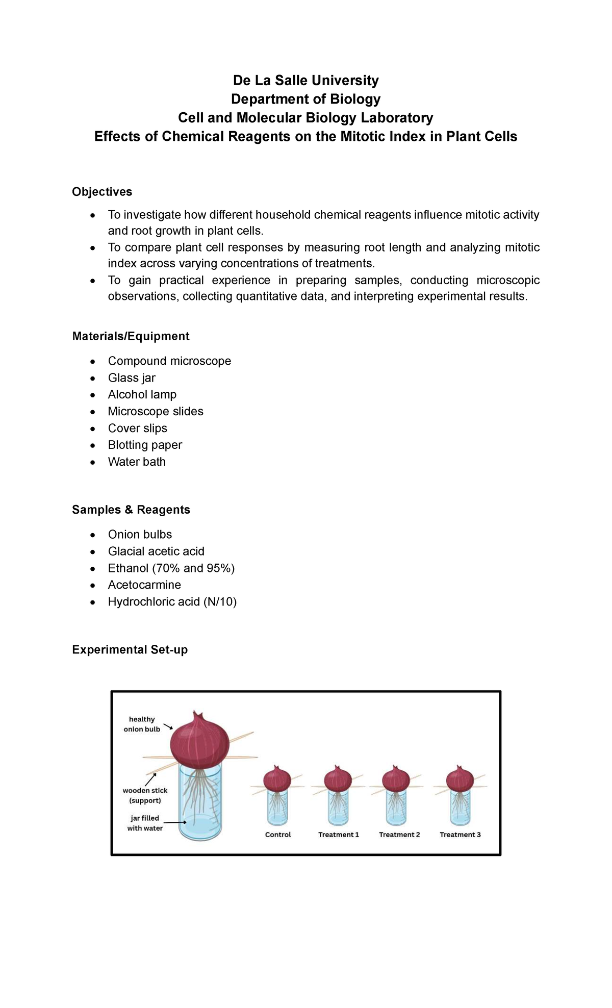 BIOL 101 Lab: Effects of Household Chemicals on Plant Cell Mitosis ...