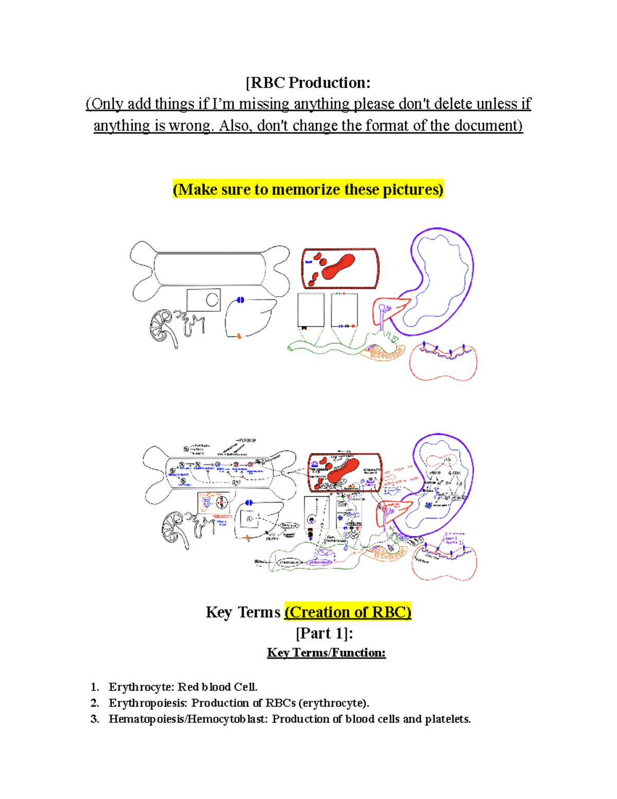 RBC Production - [RBC Production: (Only add things if I’m missing ...